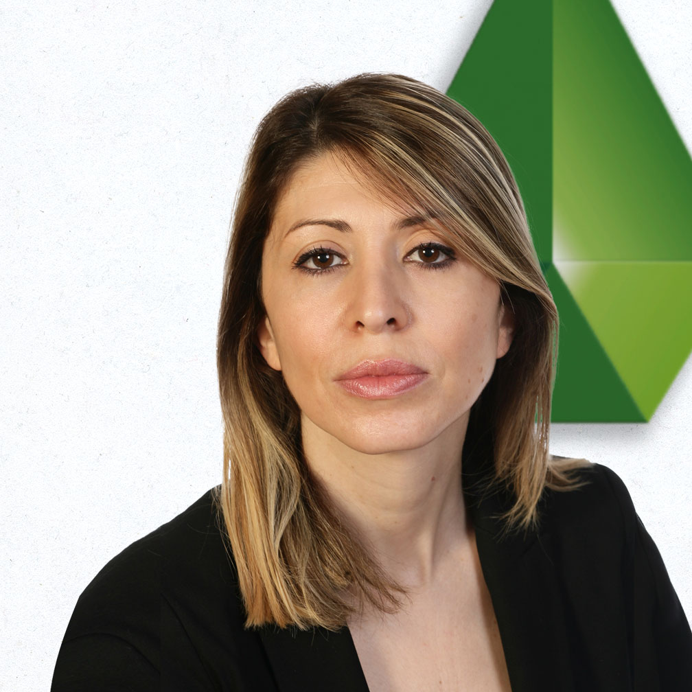 Board of Directors Eng – Green Arrow Capital